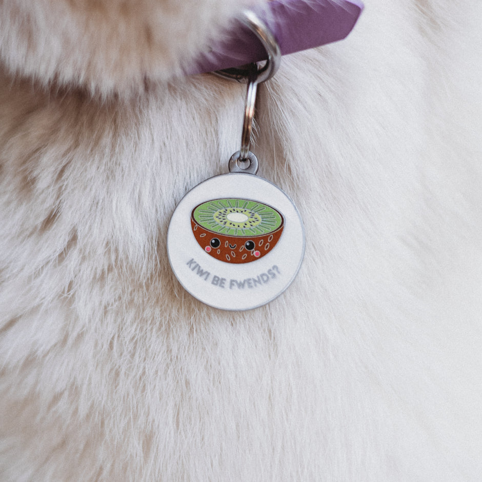 Native Collars Metal Dog Tags | Handmade in Australia | Afterpay