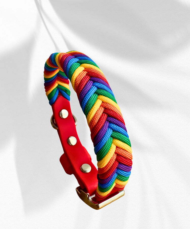Australian Handmade Dog Collars and Leads | Native Collars