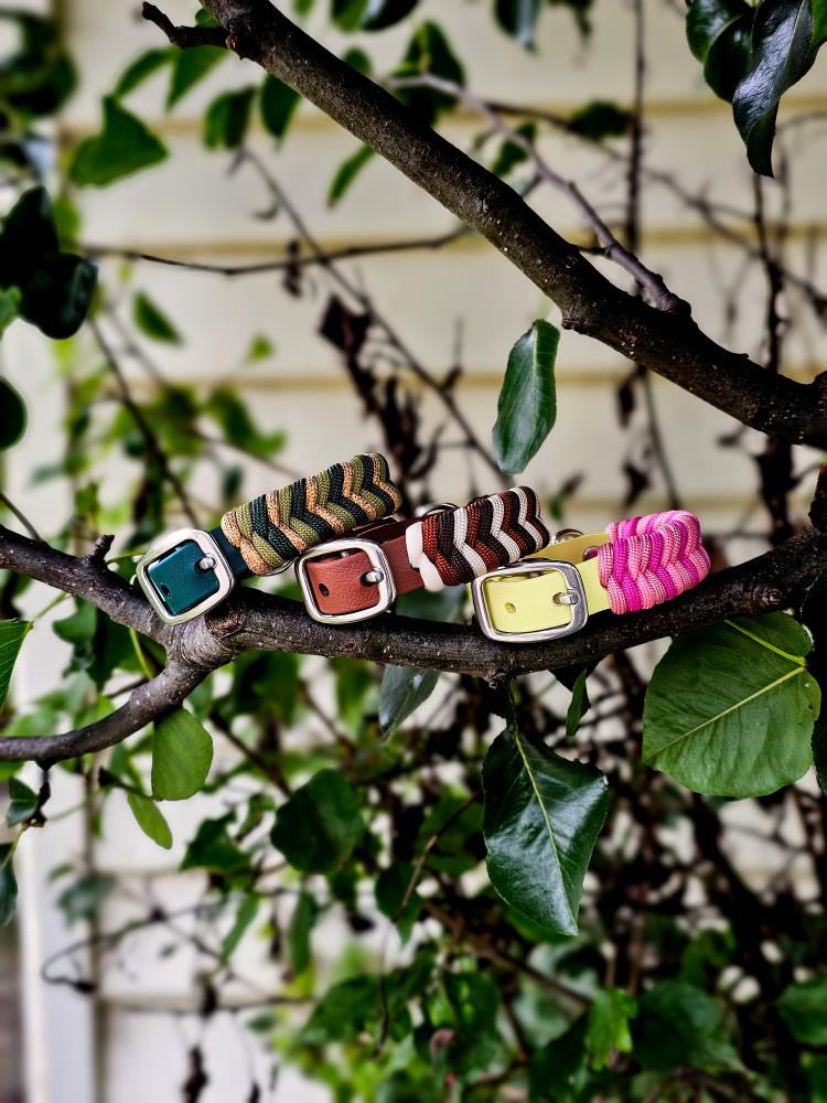 Paracord Dog Collars | Native Collars | Australian Handmade