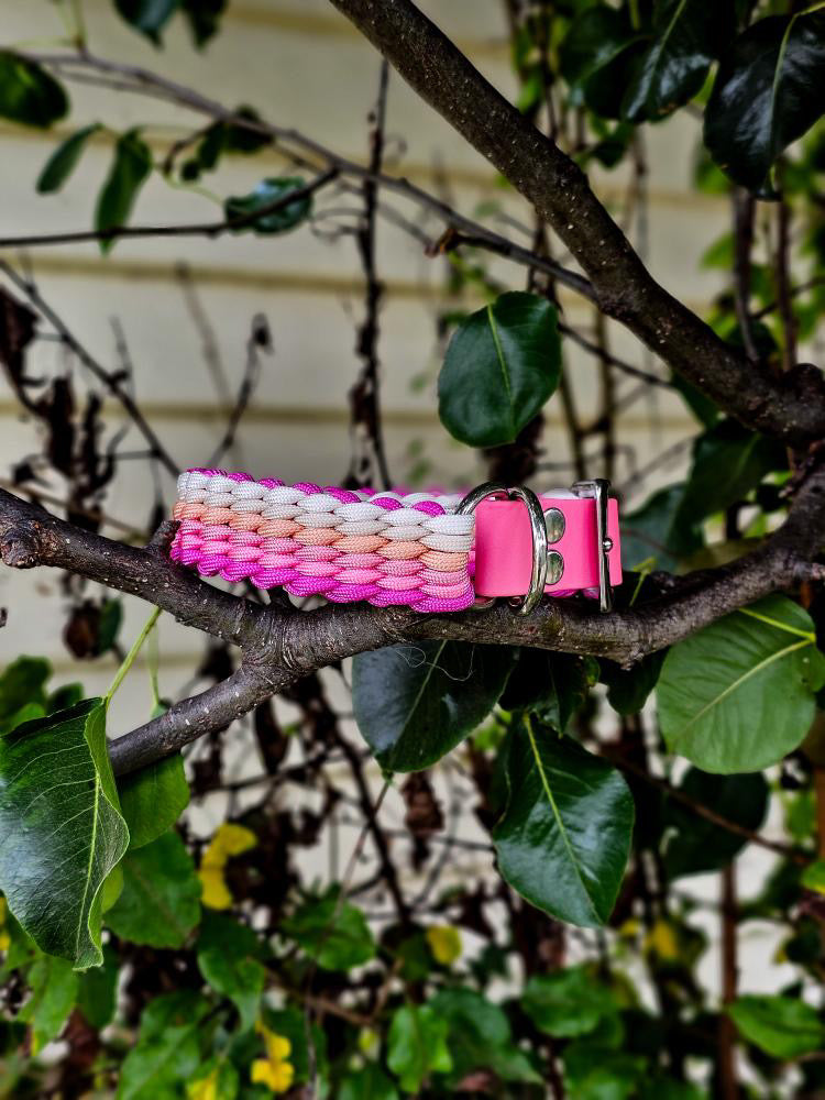 Paracord Dog Collars | Native Collars | Australian Handmade