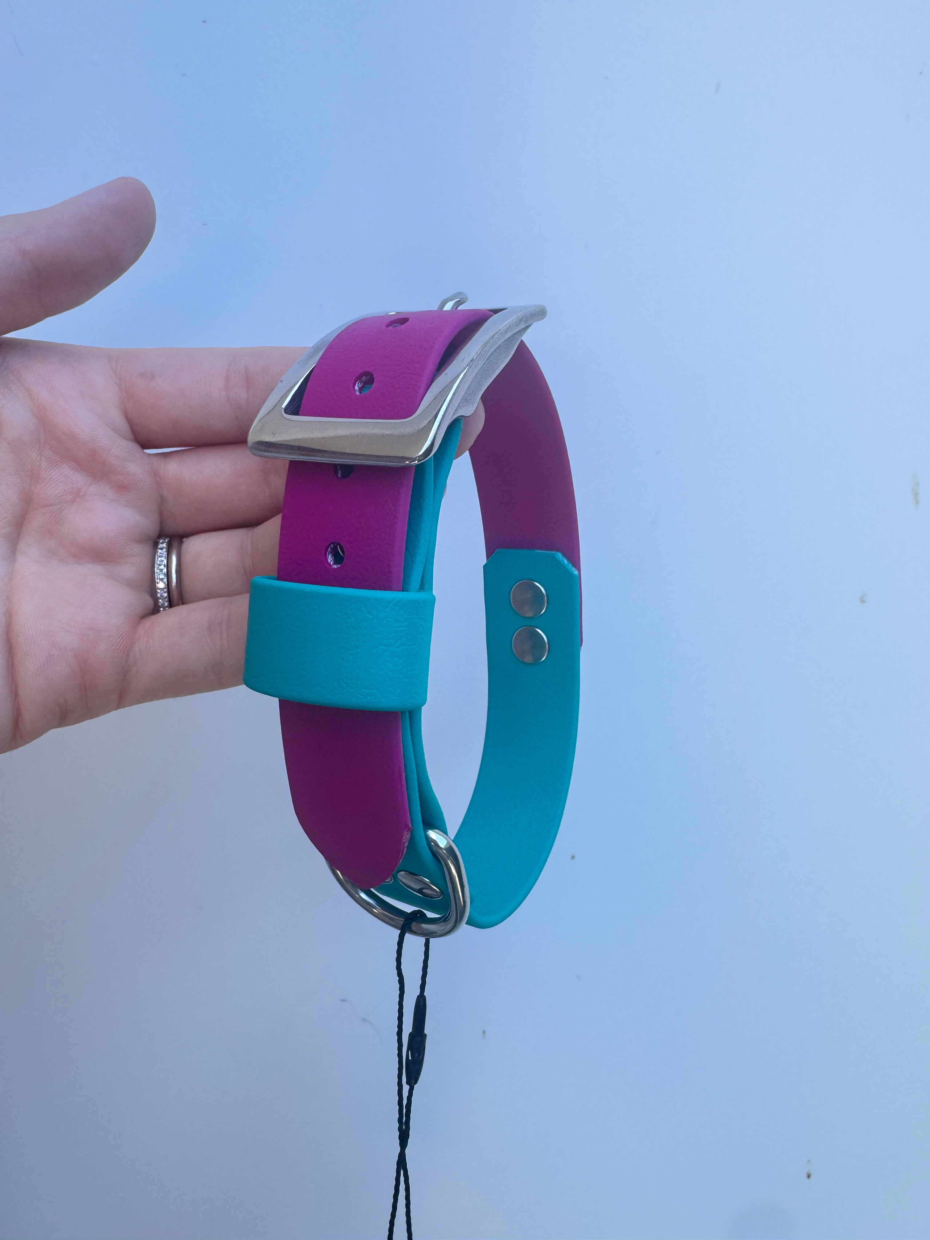 S (30-36cm neck) Magenta/Turquoise collar (2.5cm wide) – Native Collars