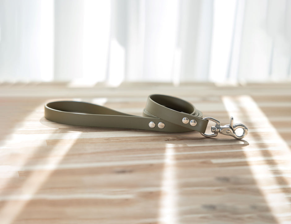 Australian Handmade Dog Collars and Leads | Native Collars