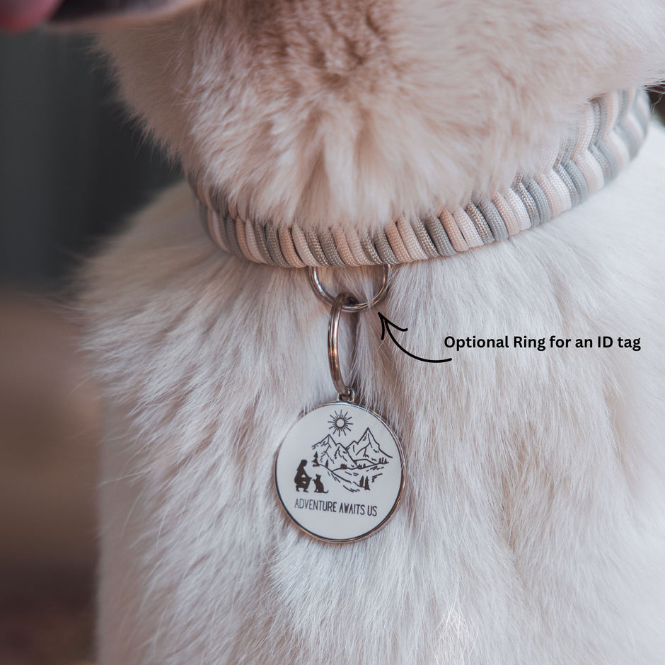Paracord Dog Collars | Native Collars | Australian Handmade