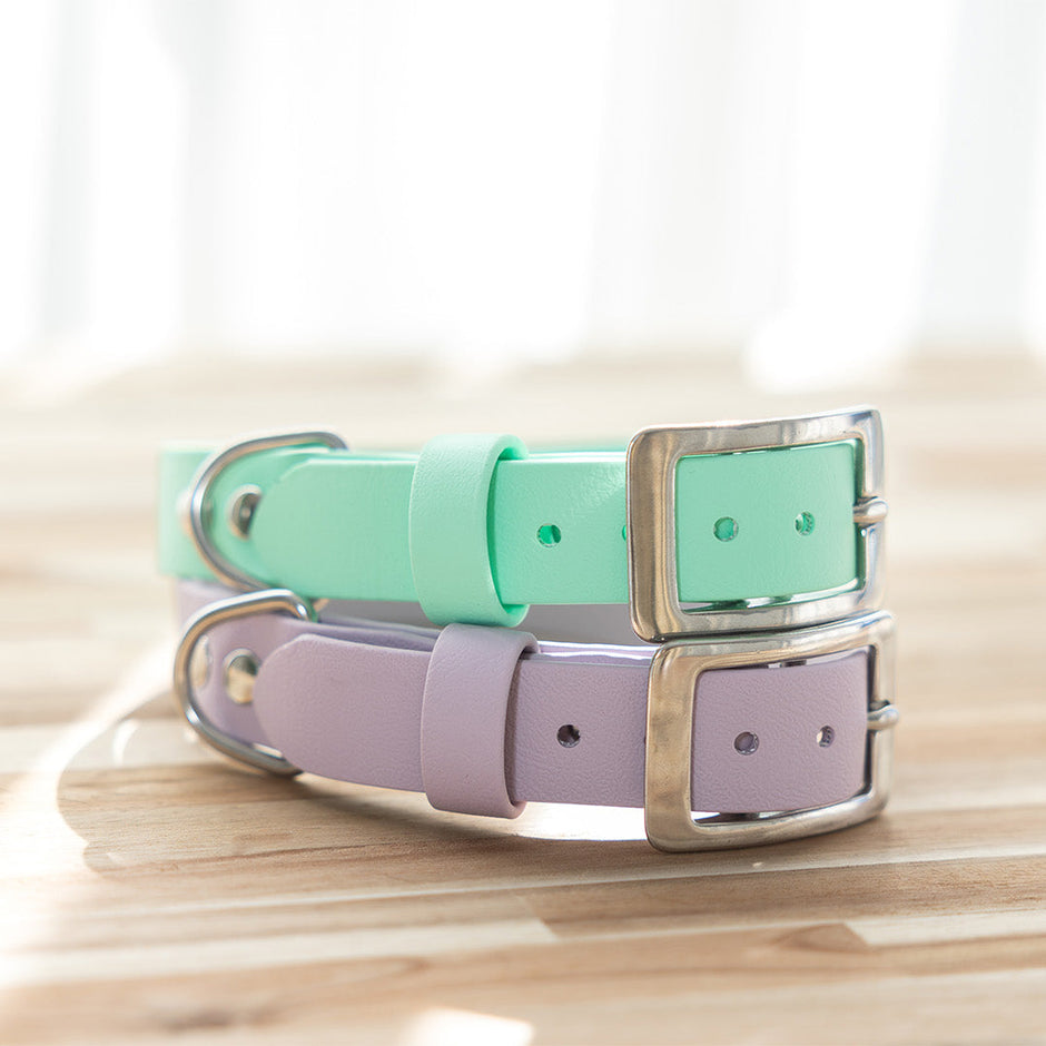 Australian Handmade Dog Collars and Leads | Native Collars